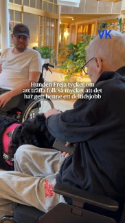 Edward Blom kan bli ”Sveriges dummaste”